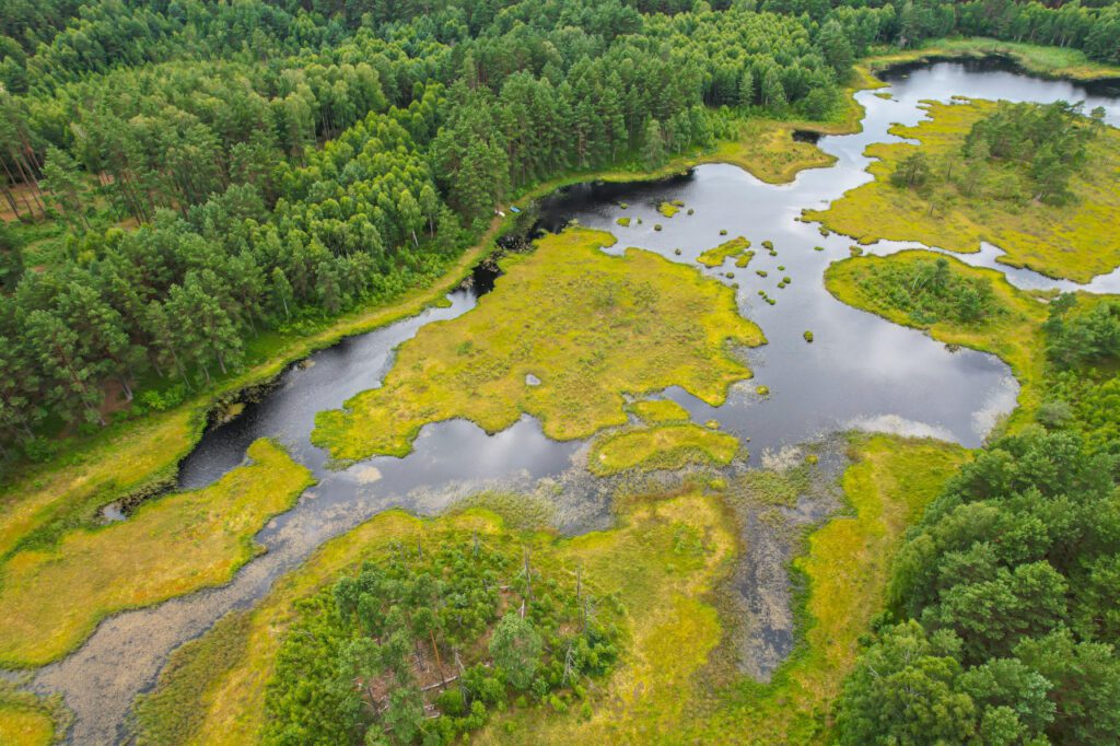 Atrakcje Kociewia: TOP 21 miejsc, które warto zobaczyć