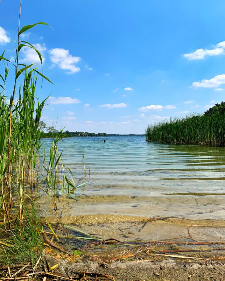 19+ atrakcji Mazowsza: jakie ciekawe miejsca zobaczyć i gdzie pojechać ...