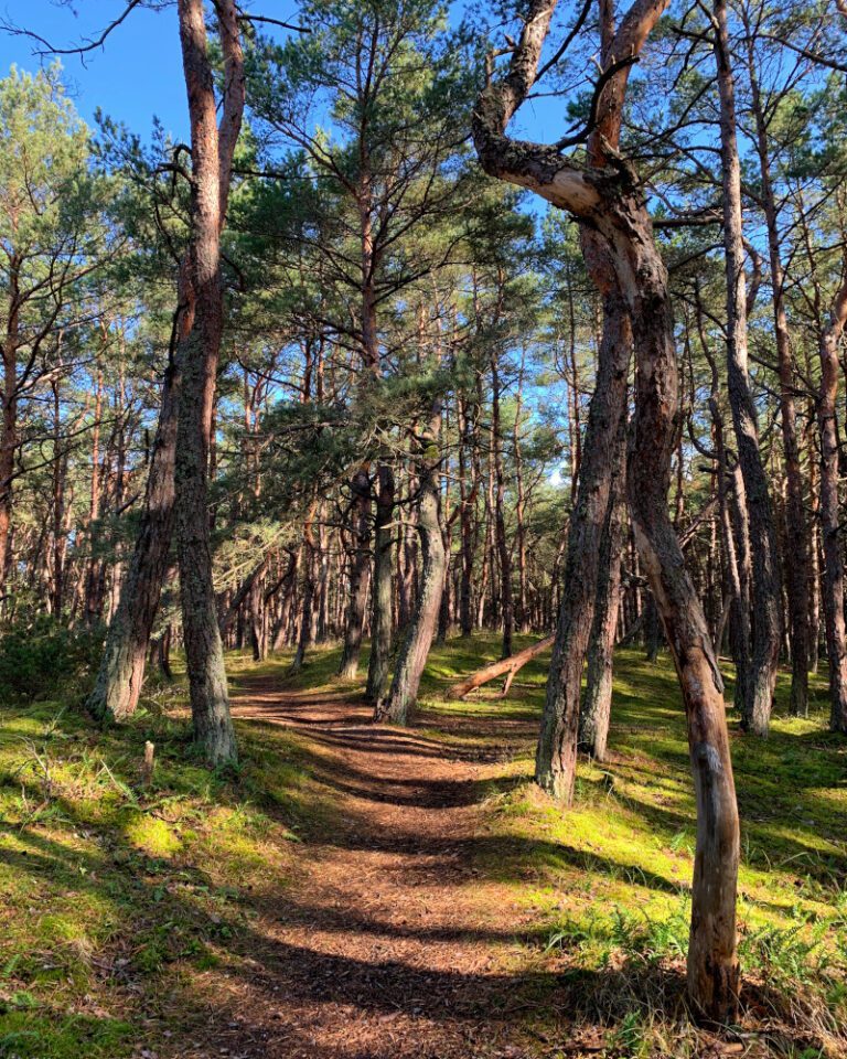 Półwysep Helski: 14 atrakcji, które polecam zobaczyć