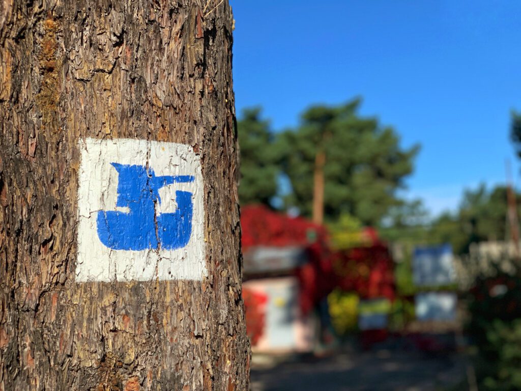 Atrakcje Helu: 17 ciekawych miejsc, które warto zobaczyć