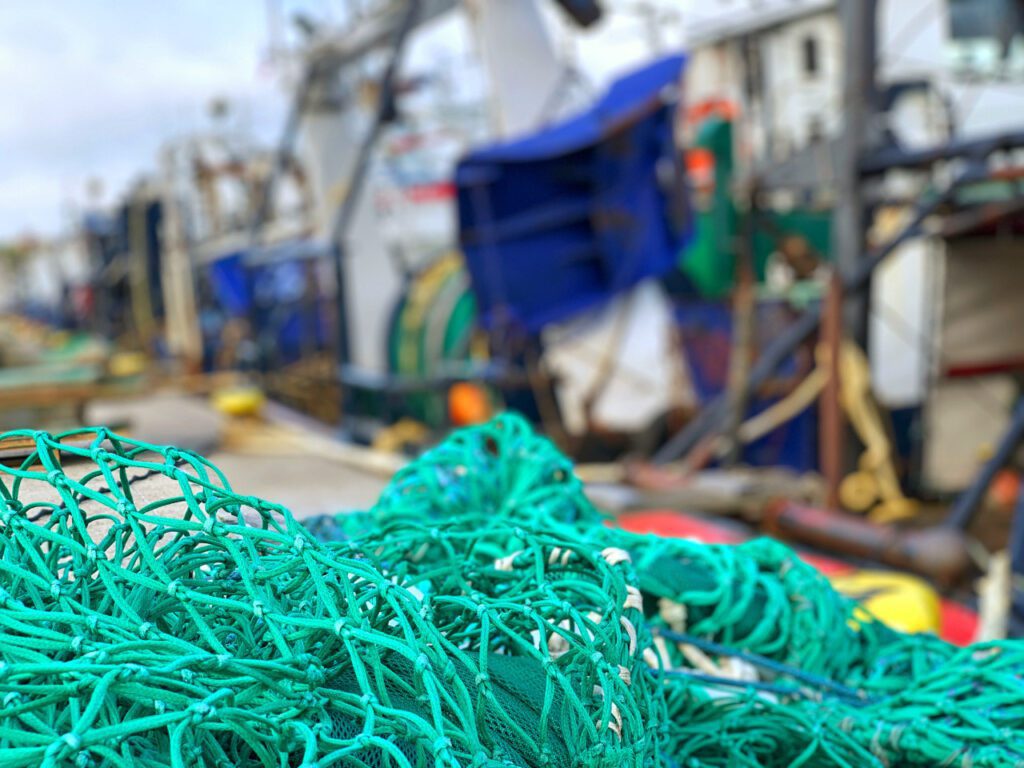 Atrakcje Helu: 17 ciekawych miejsc, które warto zobaczyć