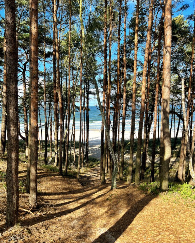 Półwysep Helski: 14 atrakcji, które polecam zobaczyć