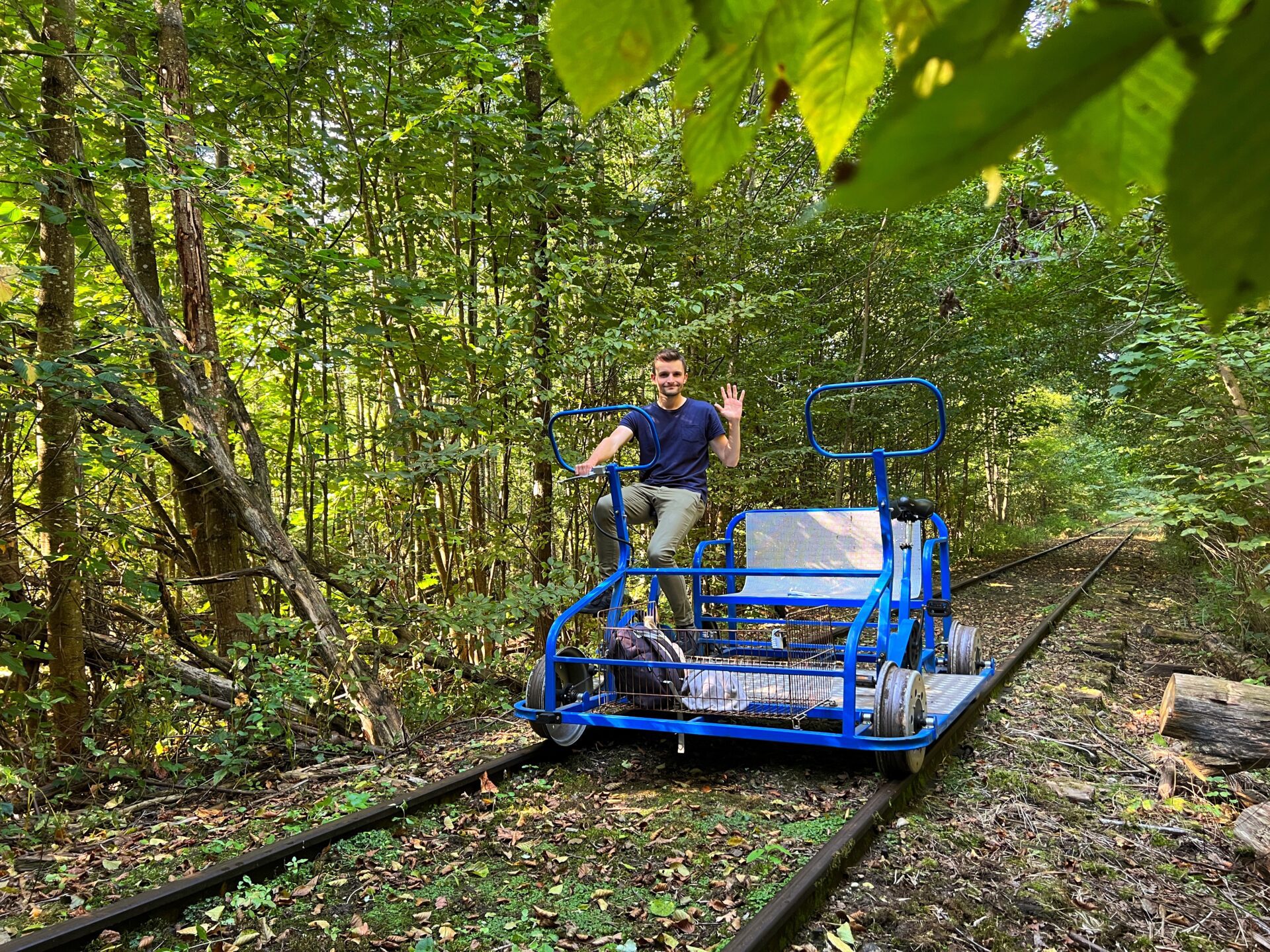 Puszcza Białowieska: 21 atrakcji i miejsc do zobaczenia w Białowieskim ...