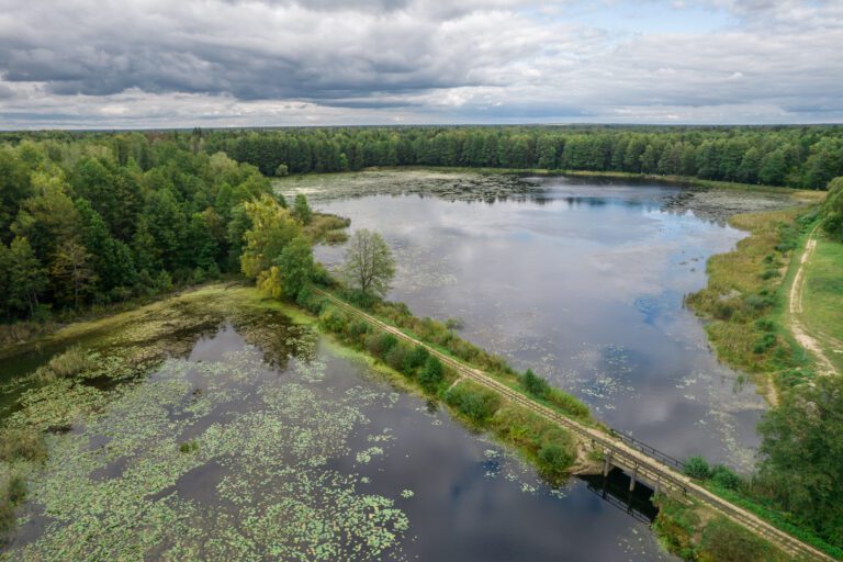 Atrakcje Hajnówki: 12 miejsc, które warto zobaczyć