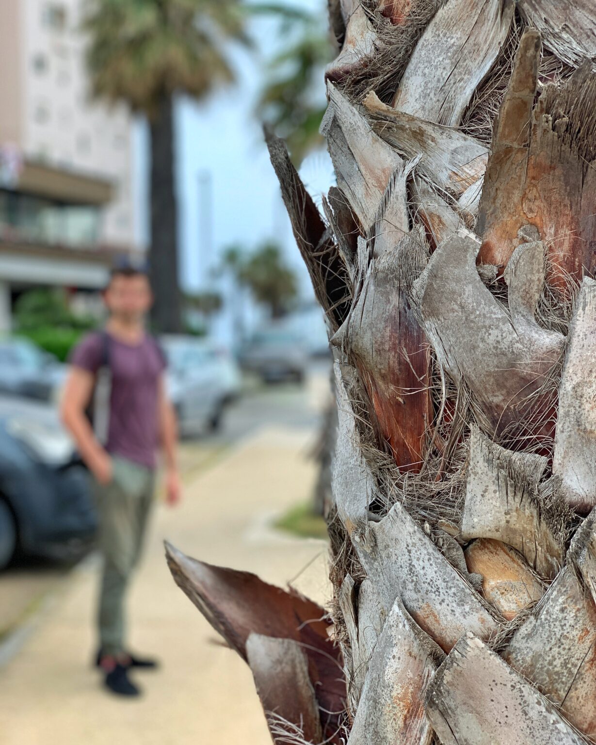 Durres (Albania): TOP 11 atrakcji i miejsc, które powinieneś zobaczyć