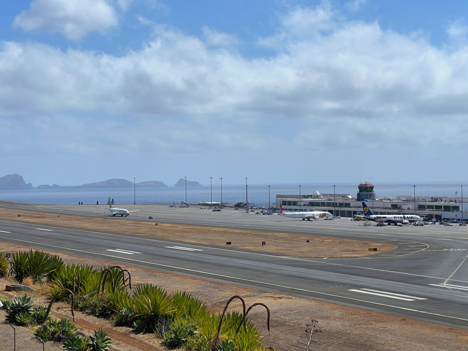 Madera na własną rękę: 15 pytań i rzeczy, które warto wiedzieć