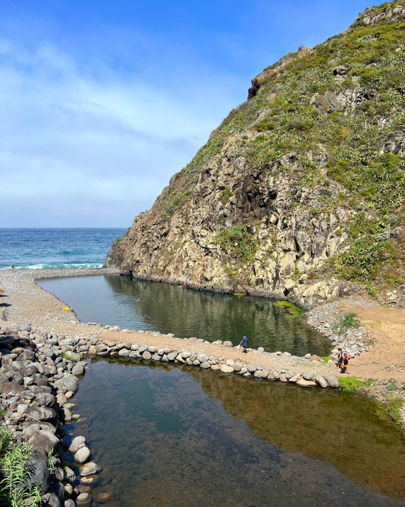 Madera na własną rękę: 15 pytań i rzeczy, które warto wiedzieć
